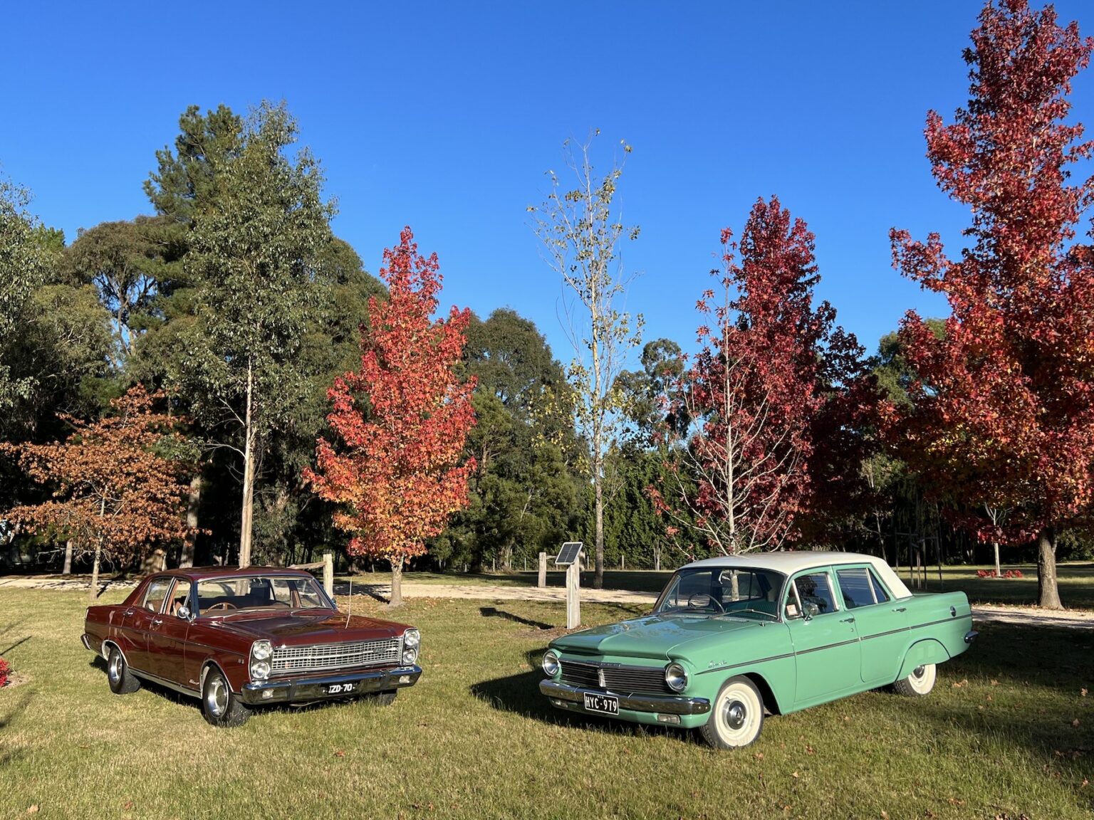 Retro Rides ambassador Shane Jacobson discusses his love of cars and ...